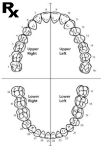 RX Form • Precision Dental Implant Laboratory